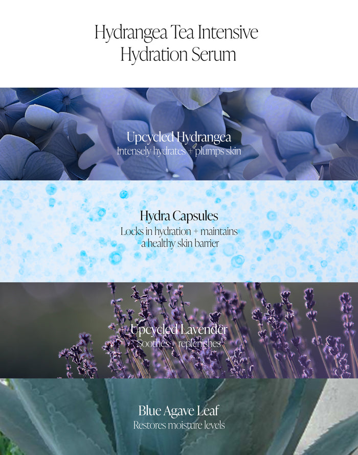Hydrangea Tea Intensive Hydration Serum